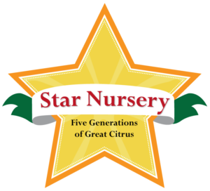 Home - Star Nursery Belle Chasse