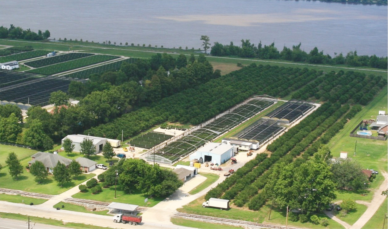 About Us - Star Nursery Belle Chasse